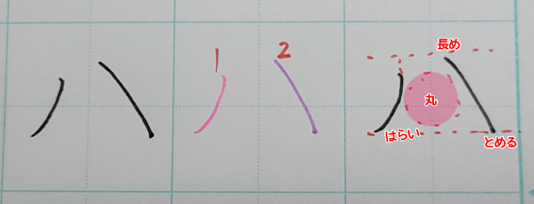 【カタカナのきれいな書き方】書き順、お手本を解説！【片仮名の美文字】 | 美文字部